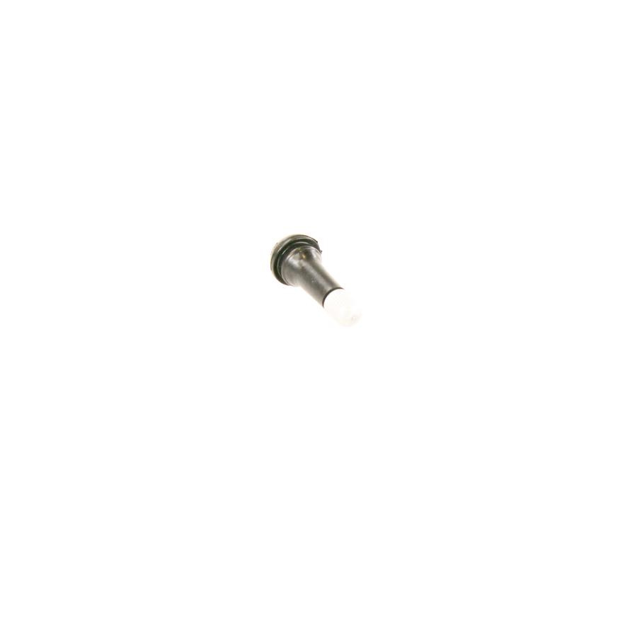 Válvula de Pneu VW 839601361A | Loja Virtual